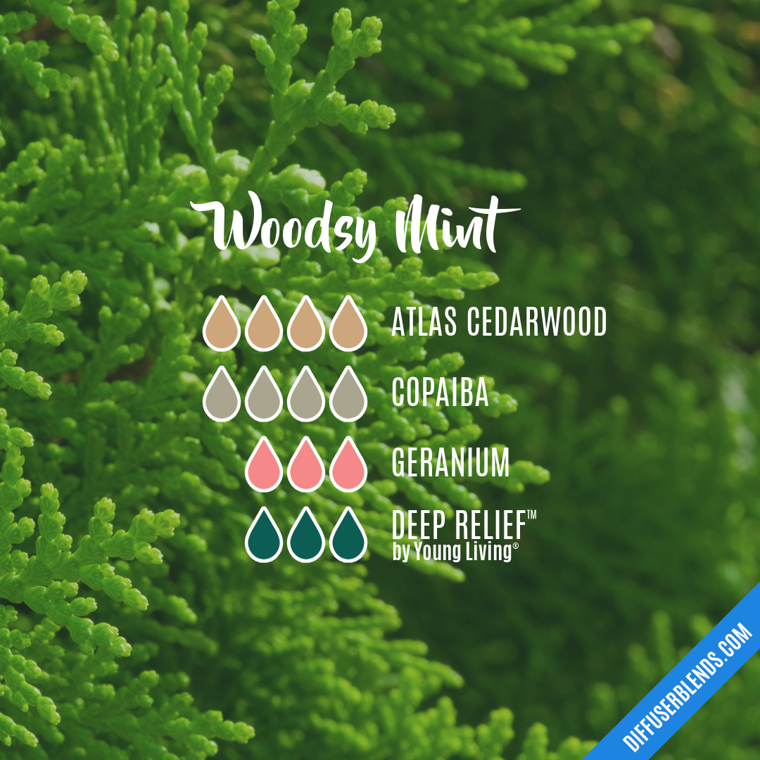 Woodsy Mint | DiffuserBlends.com