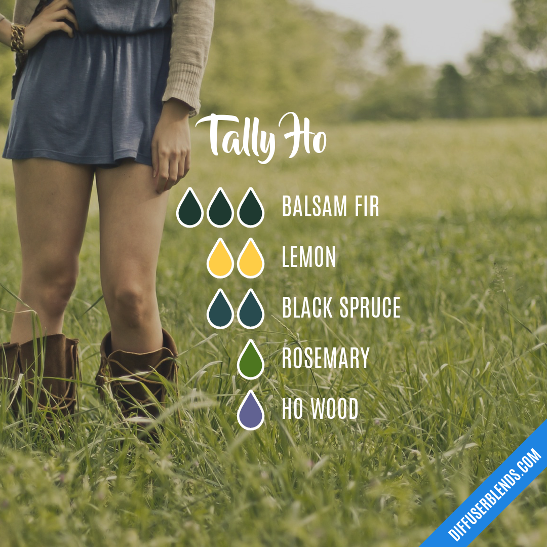 Tally Ho | DiffuserBlends.com