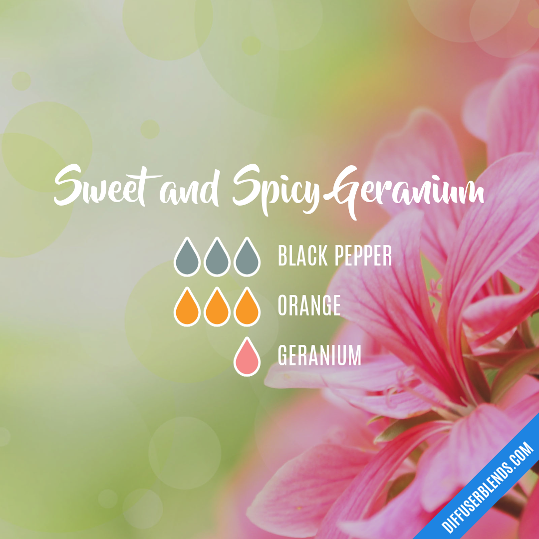 Sweet and Spicy Geranium | DiffuserBlends.com