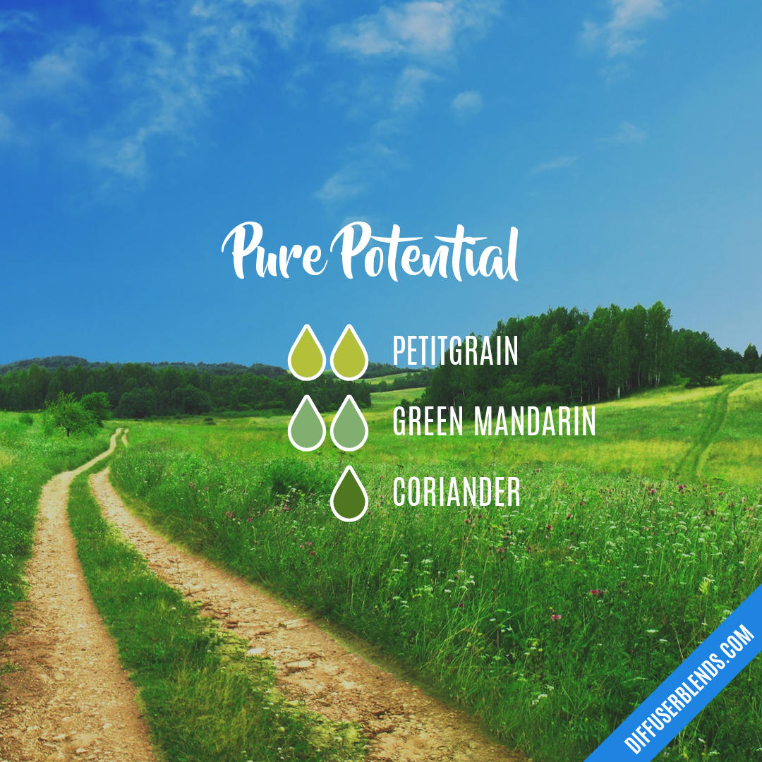Pure Potential | DiffuserBlends.com