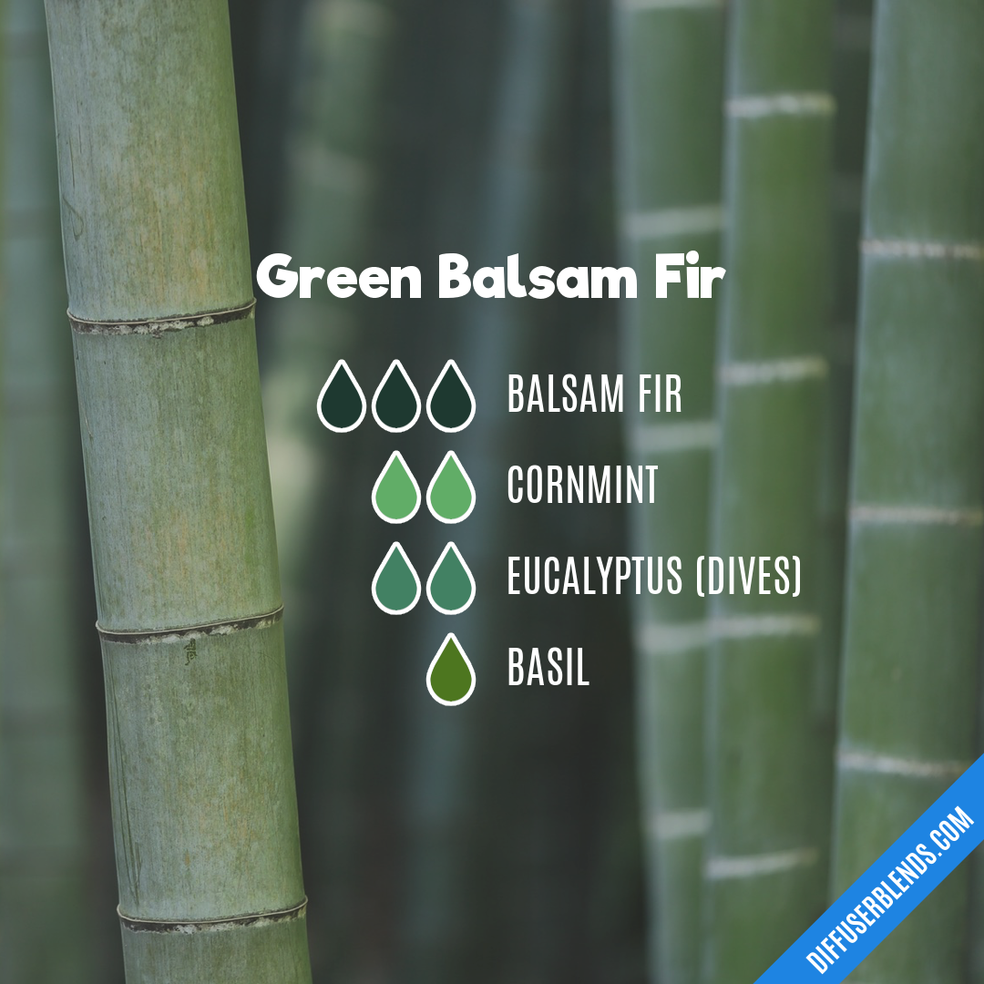 Green Balsam Fir | DiffuserBlends.com