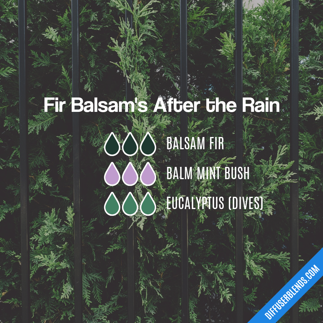 Fir Balsam's After the Rain | DiffuserBlends.com