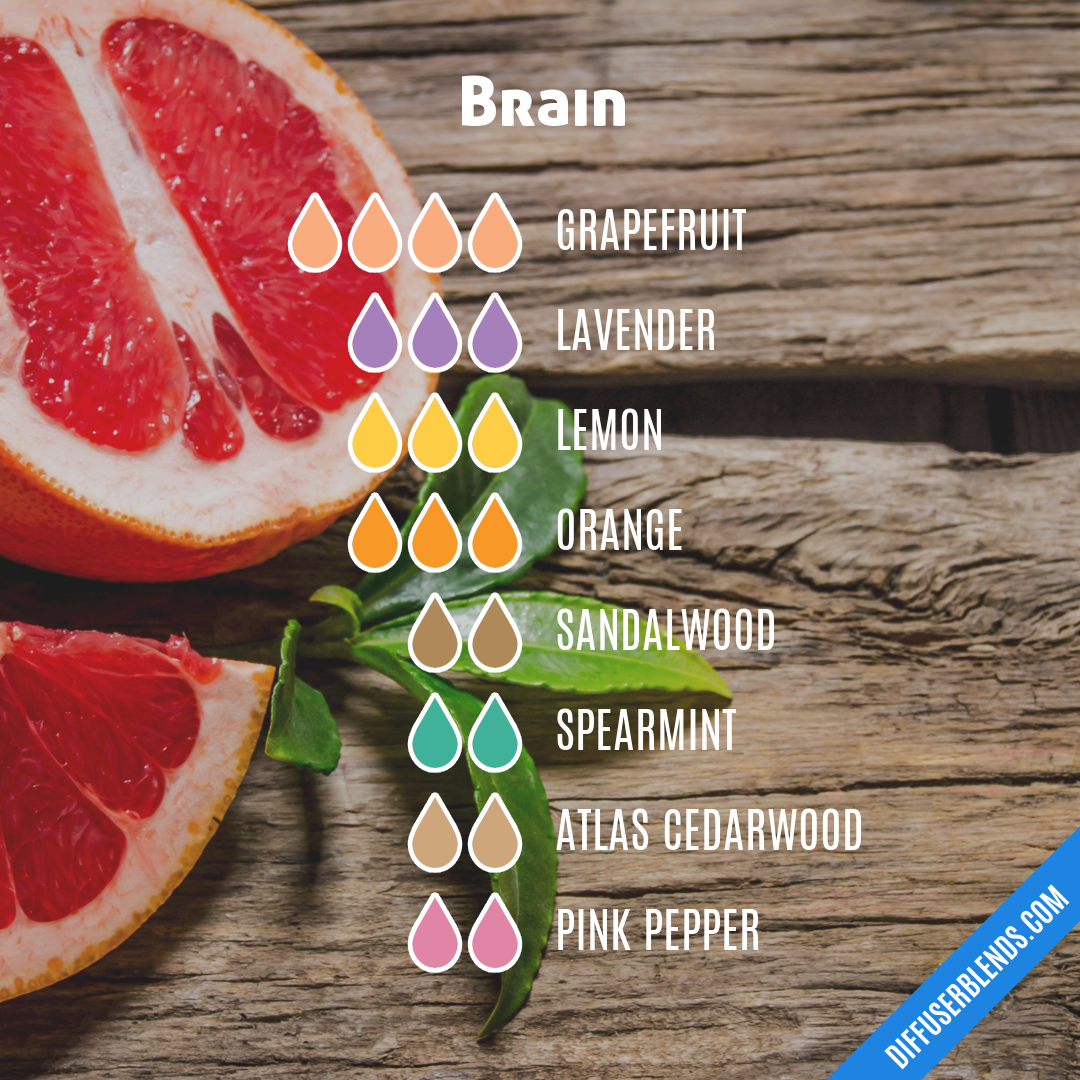 Brain | DiffuserBlends.com