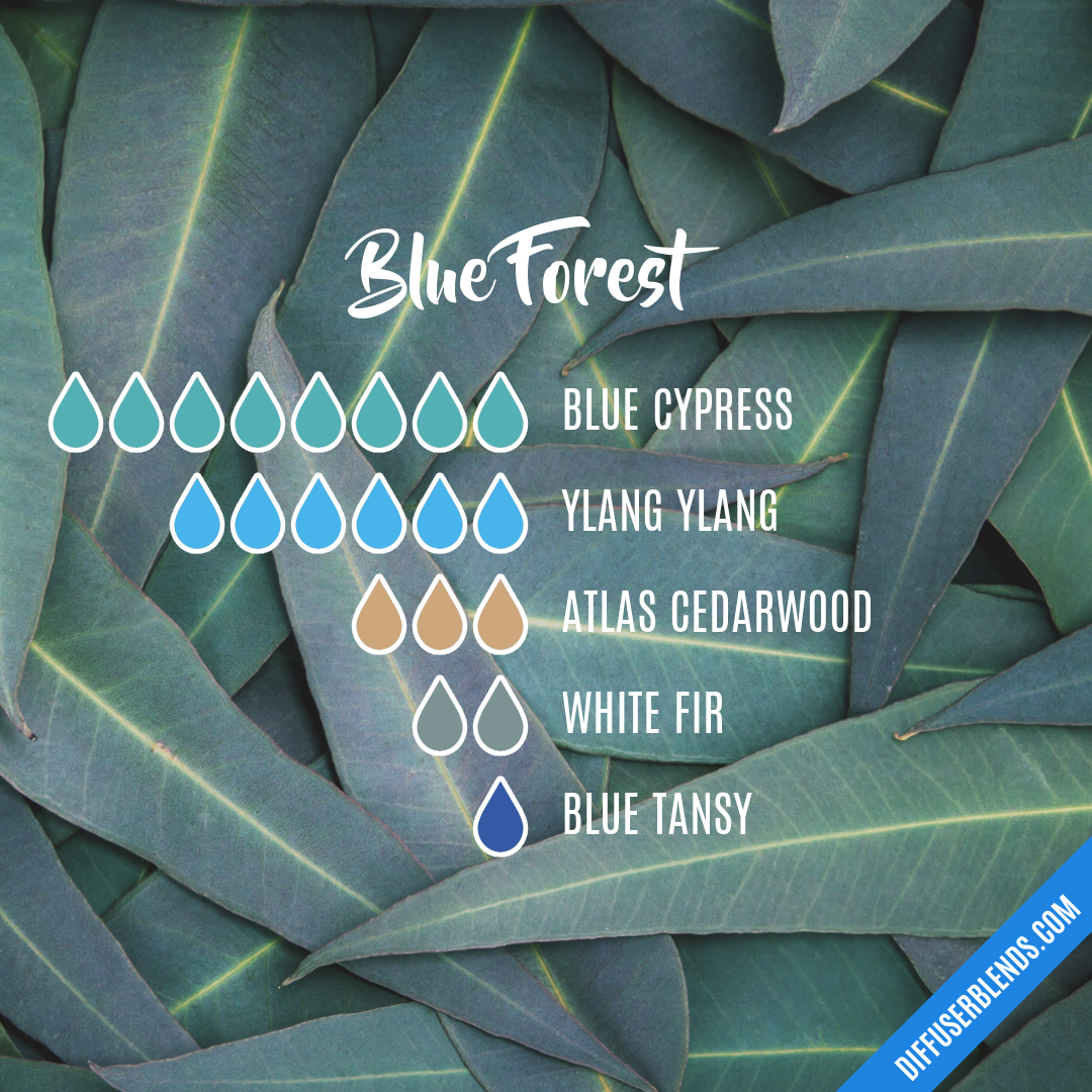 Blue Forest | DiffuserBlends.com