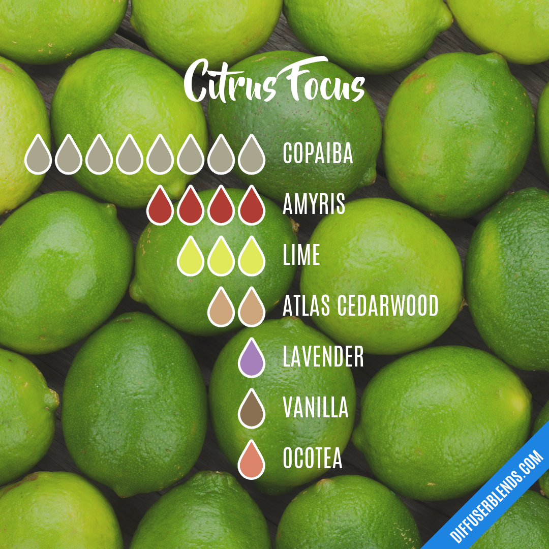 Citrus Focus | DiffuserBlends.com