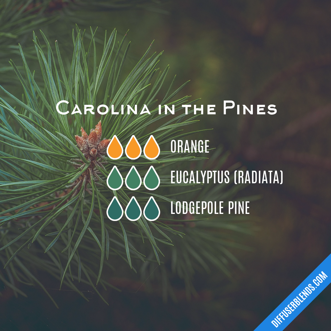 Carolina in the Pines | DiffuserBlends.com