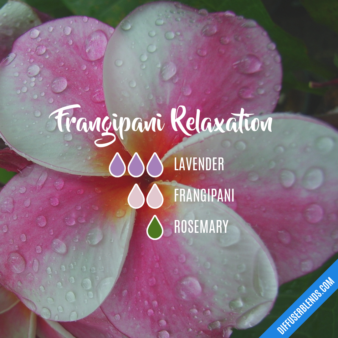 Frangipani Relaxation | DiffuserBlends.com