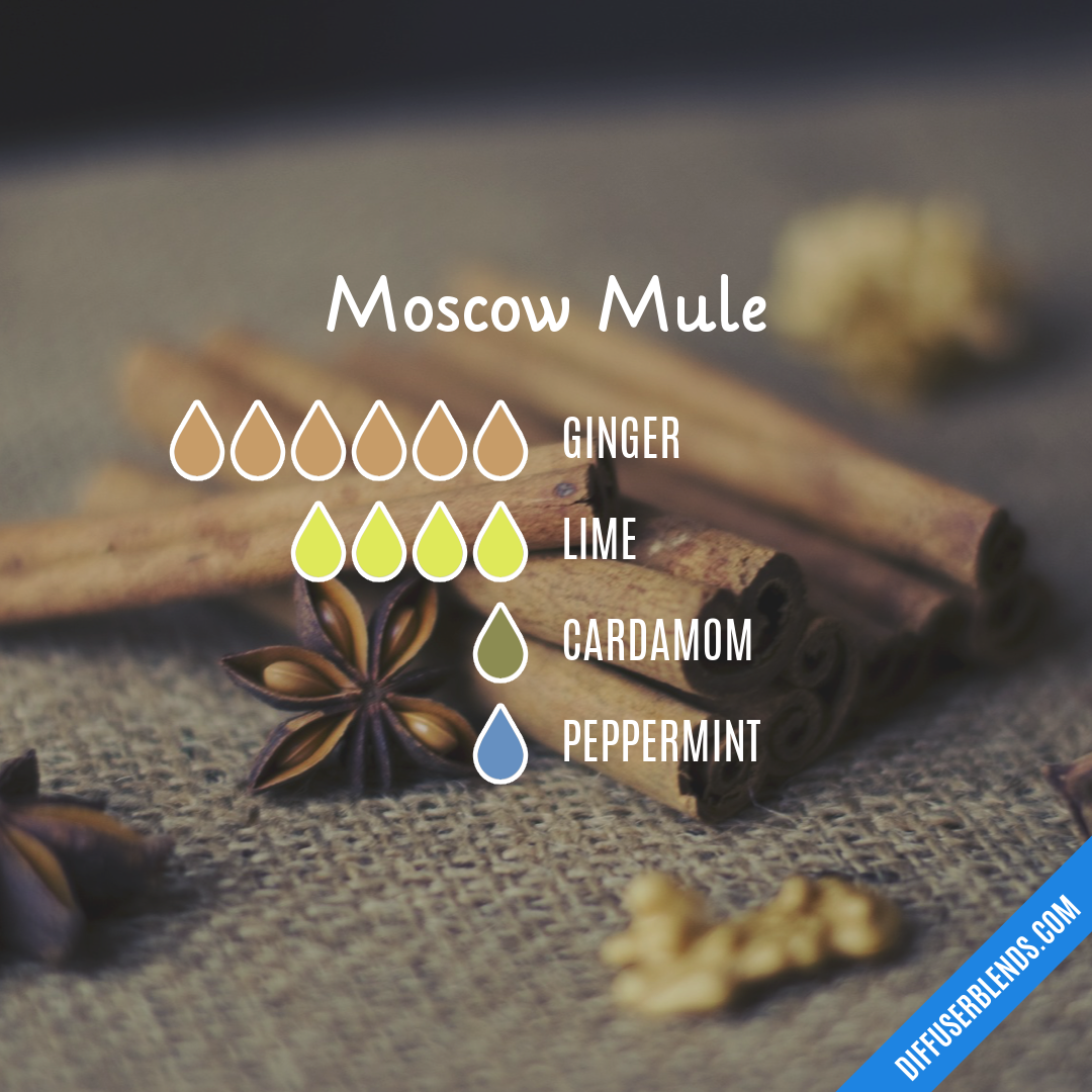 Moscow Mule | DiffuserBlends.com