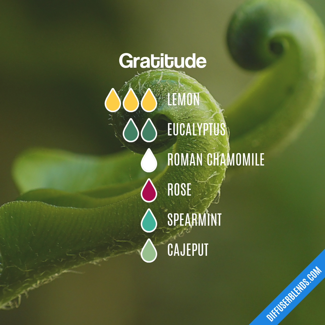Gratitude | DiffuserBlends.com