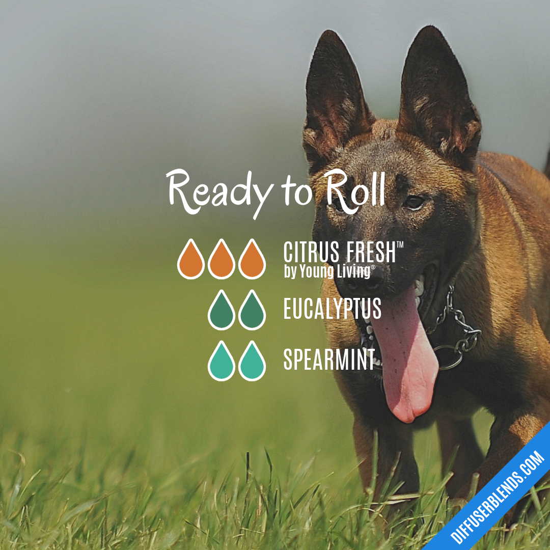 Ready to Roll | DiffuserBlends.com