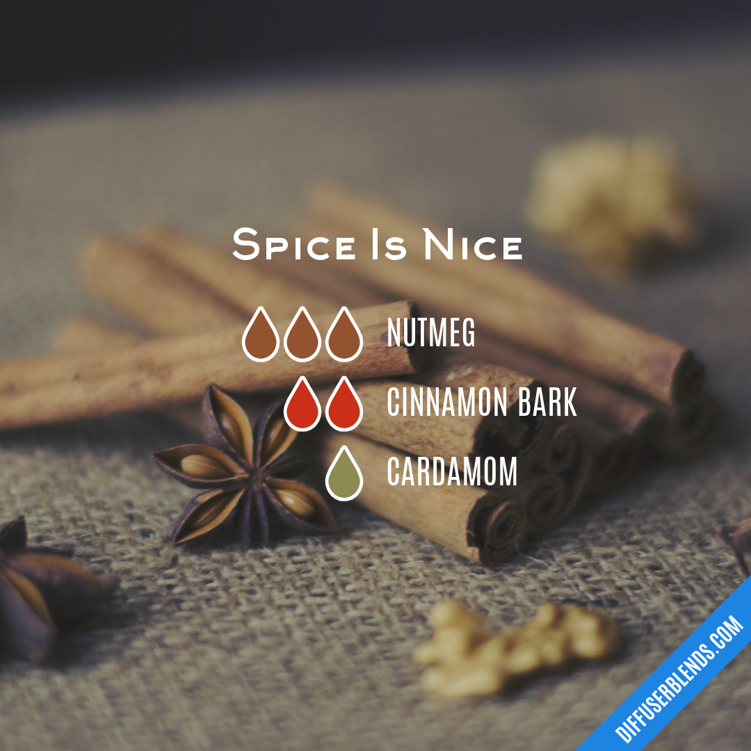 Spice Is Nice | DiffuserBlends.com