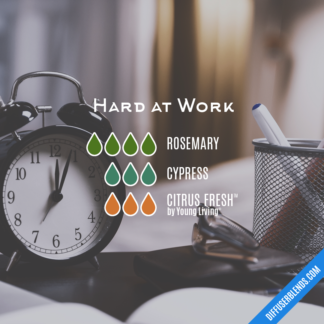 Hard at Work | DiffuserBlends.com