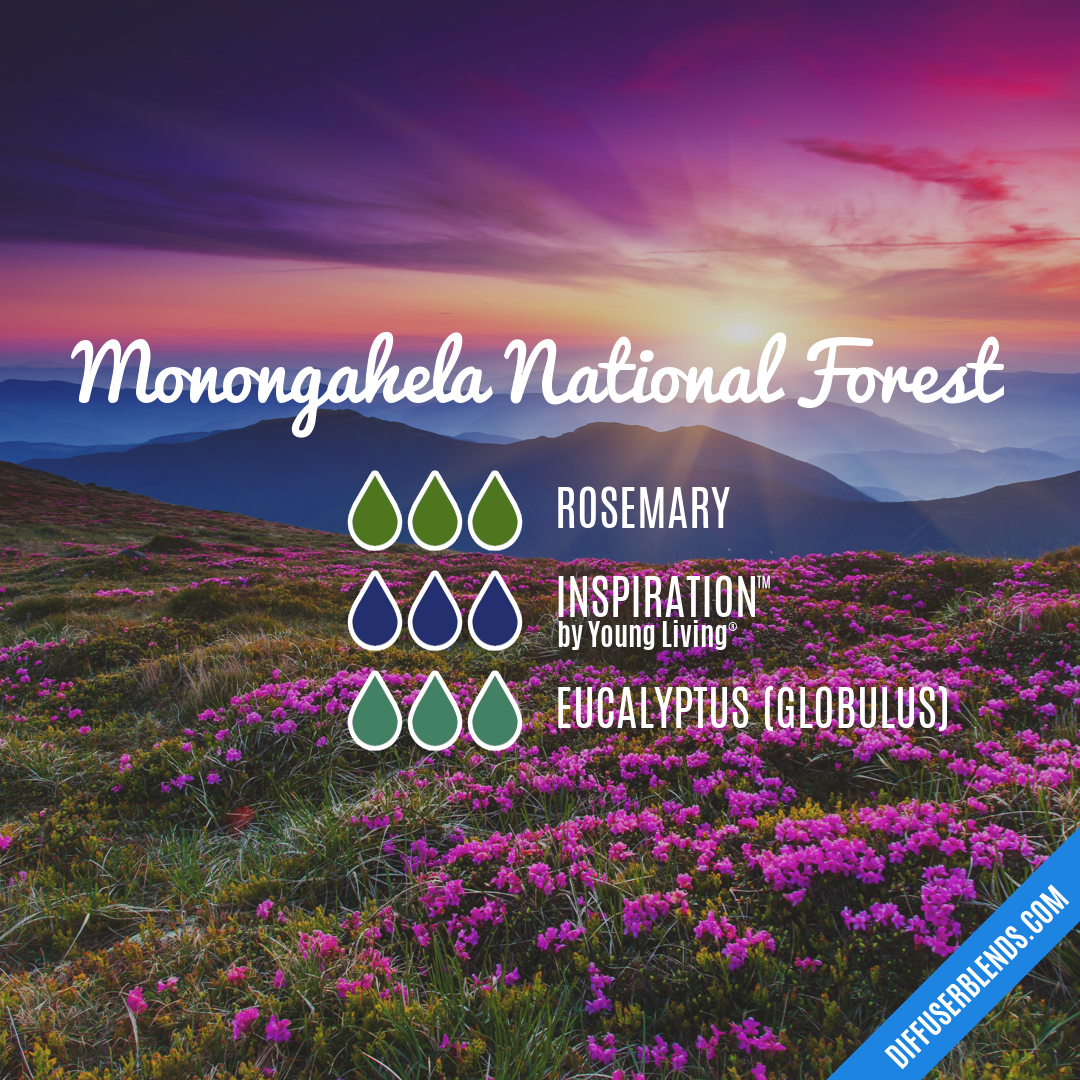 Monongahela National Forest | DiffuserBlends.com