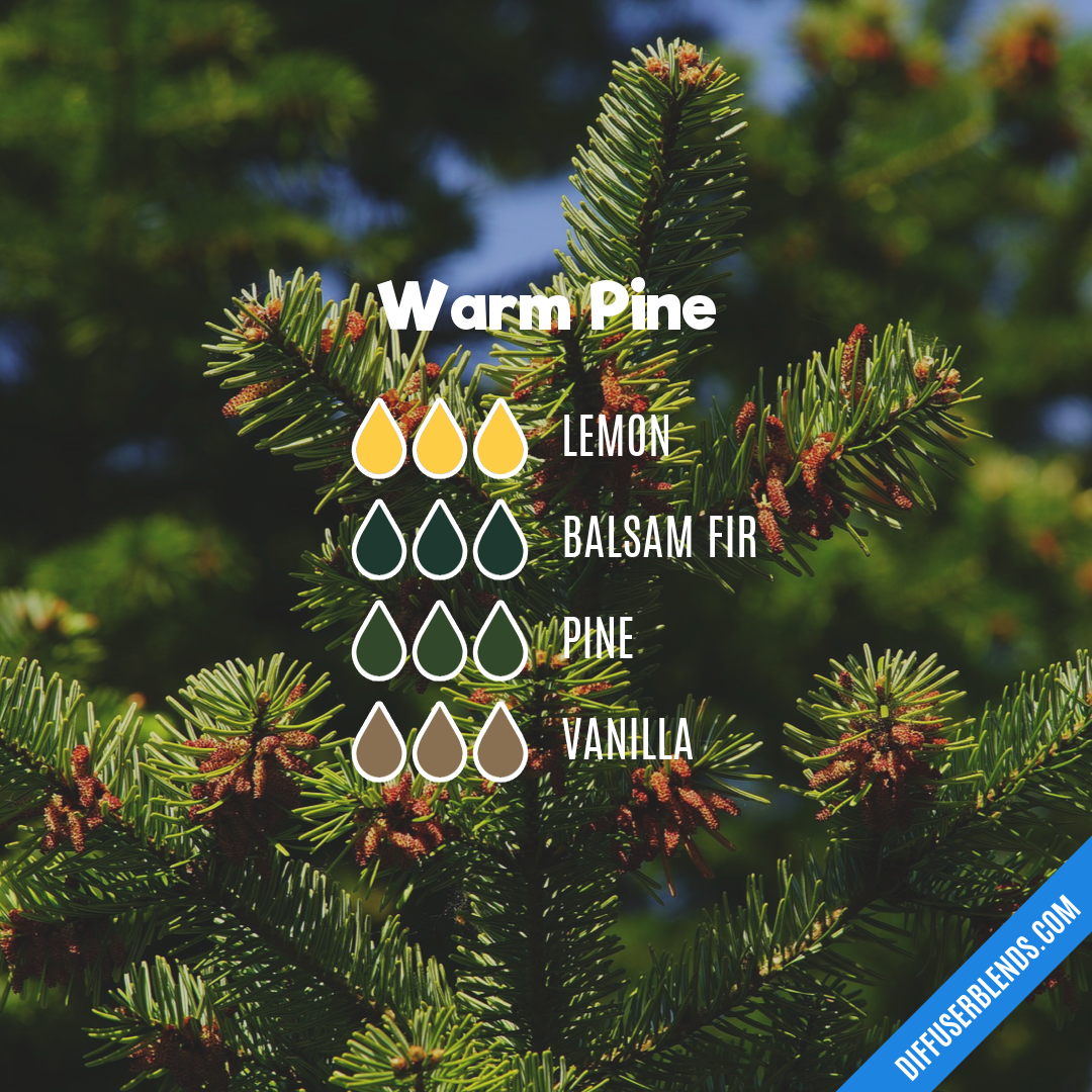 Warm Pine | DiffuserBlends.com