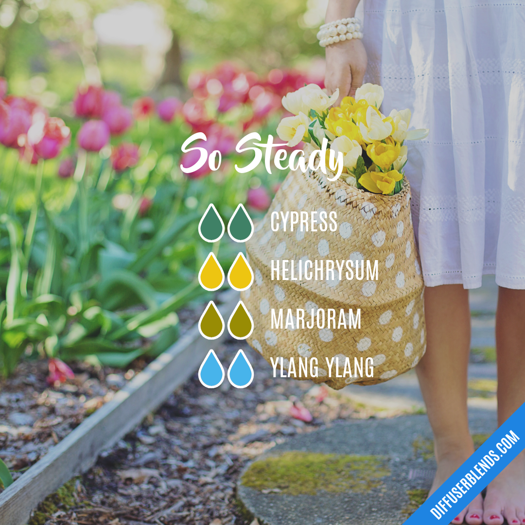 So Steady | DiffuserBlends.com