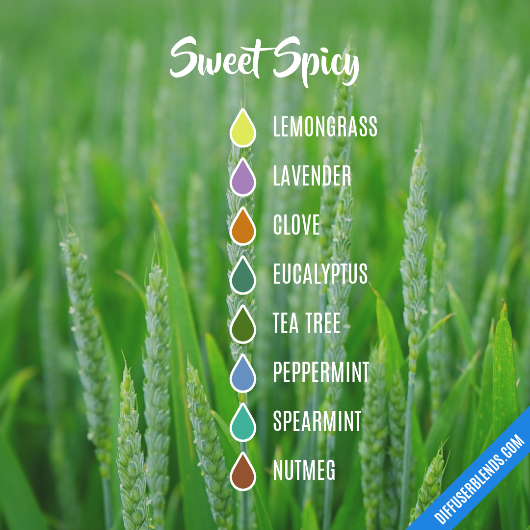 Sweet Spicy | DiffuserBlends.com