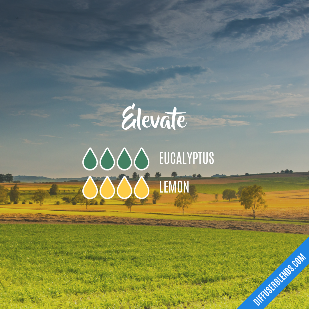 Elevate | DiffuserBlends.com