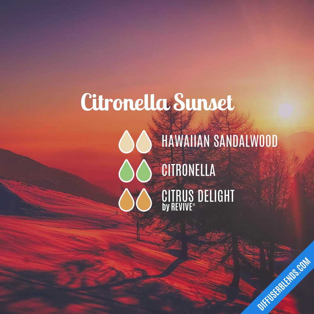 Citronella Sunset | DiffuserBlends.com