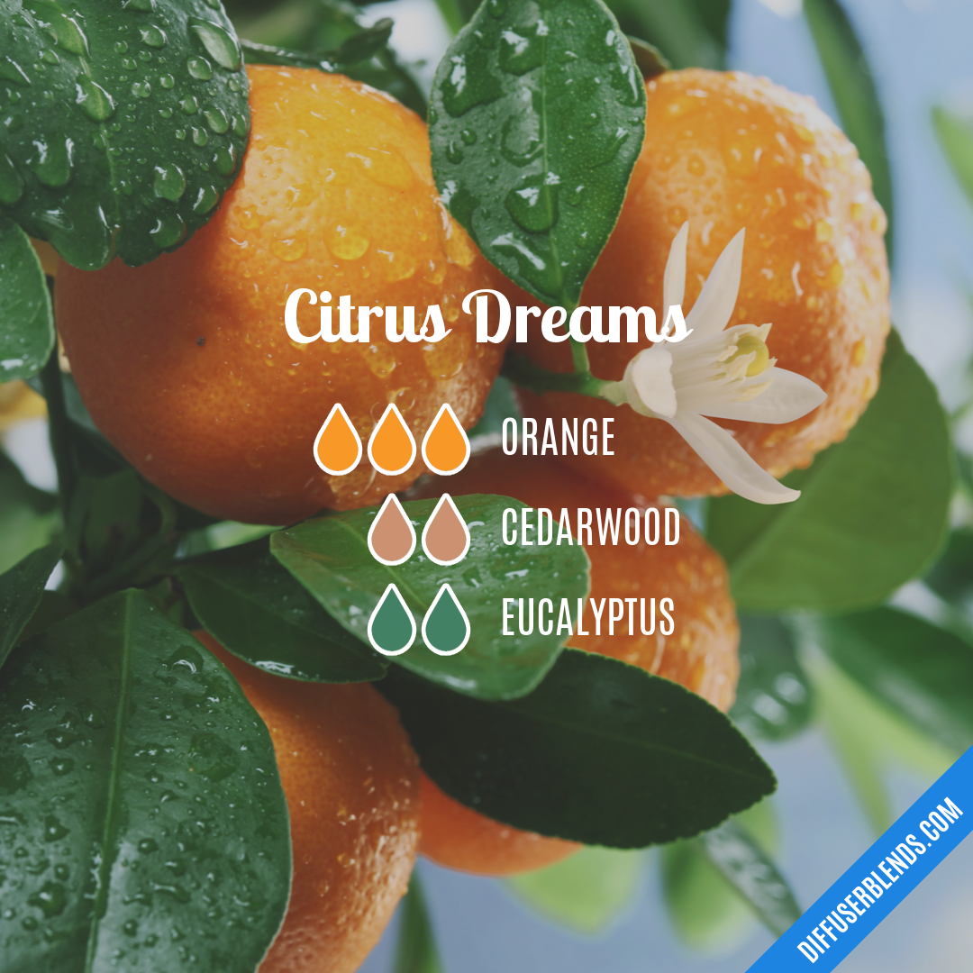 Citrus Dreams | DiffuserBlends.com