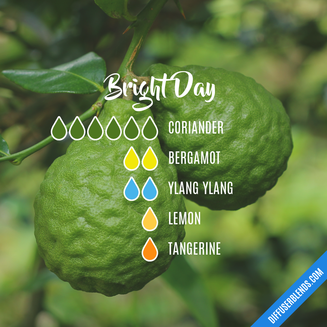 Bright Day | DiffuserBlends.com