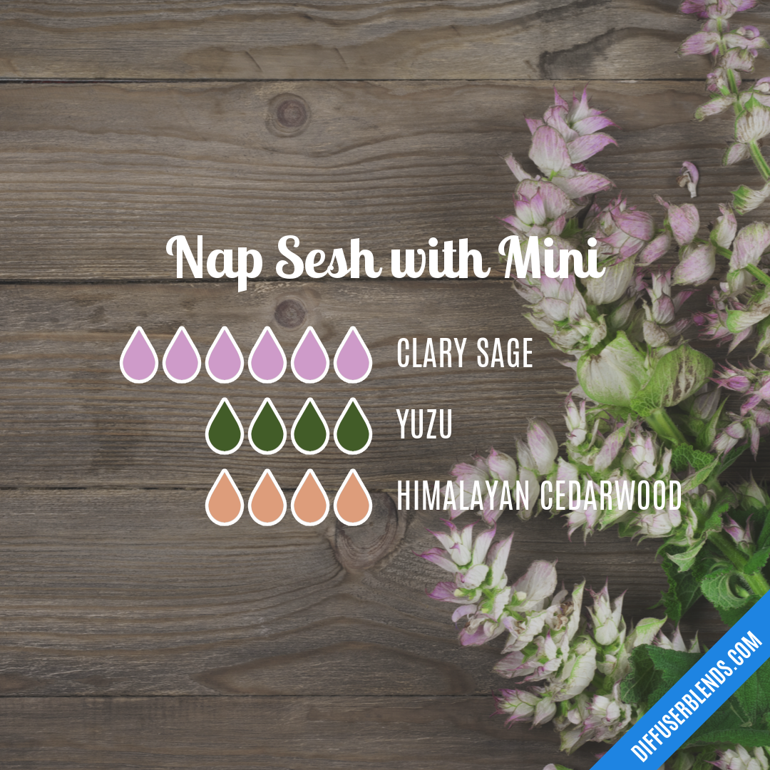Nap Sesh with Mini | DiffuserBlends.com
