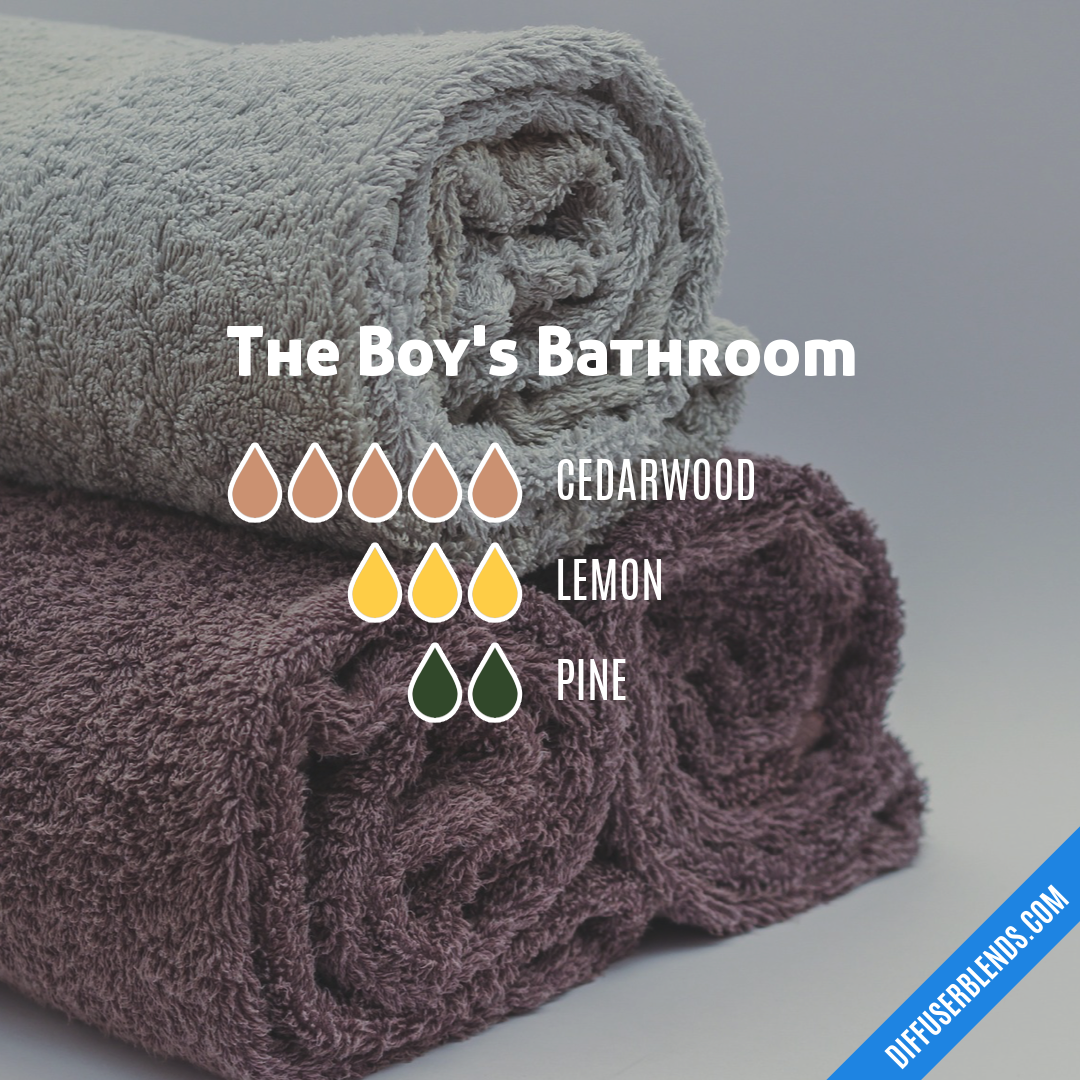 The Boy's Bathroom | DiffuserBlends.com