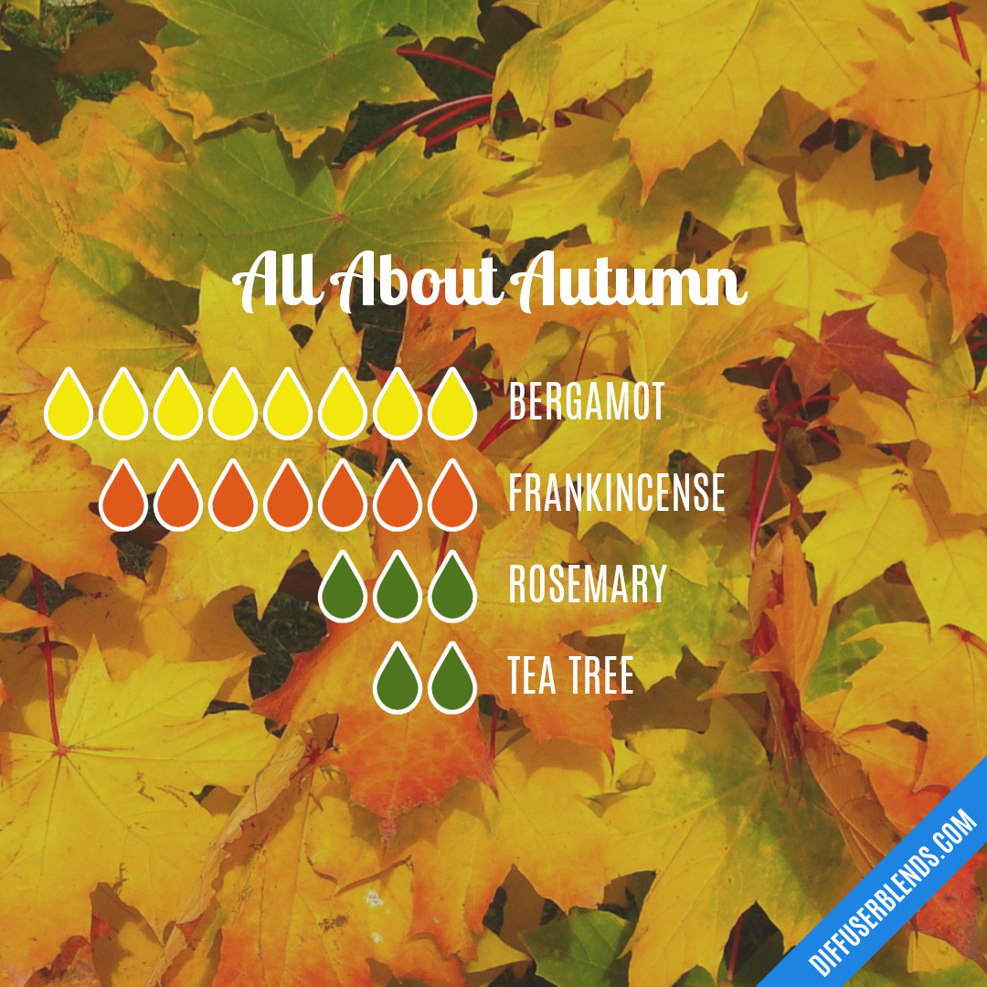 All About Autumn | DiffuserBlends.com