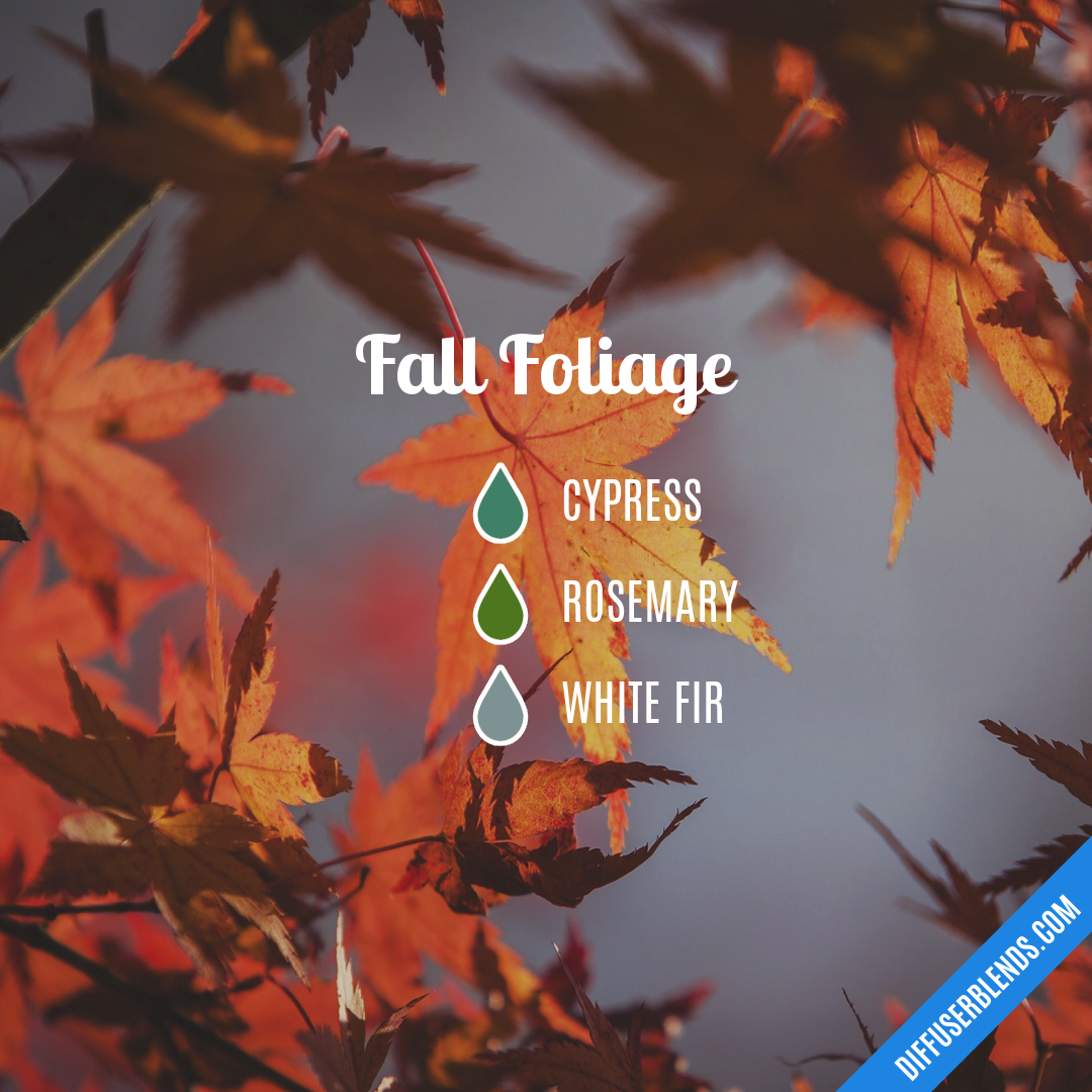 Fall Foliage | DiffuserBlends.com