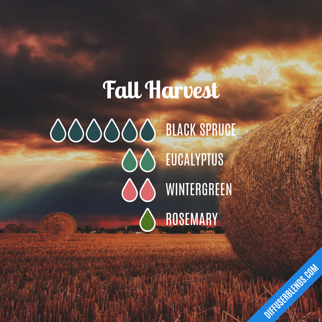 Fall Harvest | DiffuserBlends.com