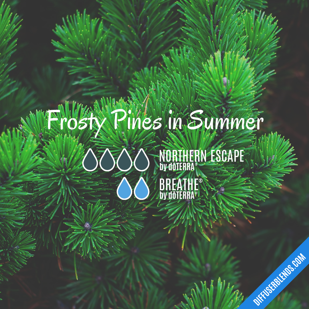 Frosty Pines in Summer | DiffuserBlends.com