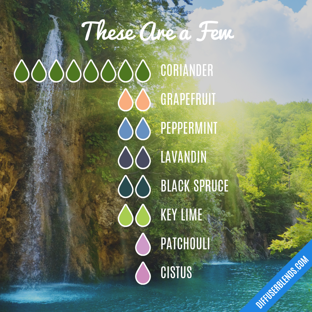 These Are a Few | DiffuserBlends.com