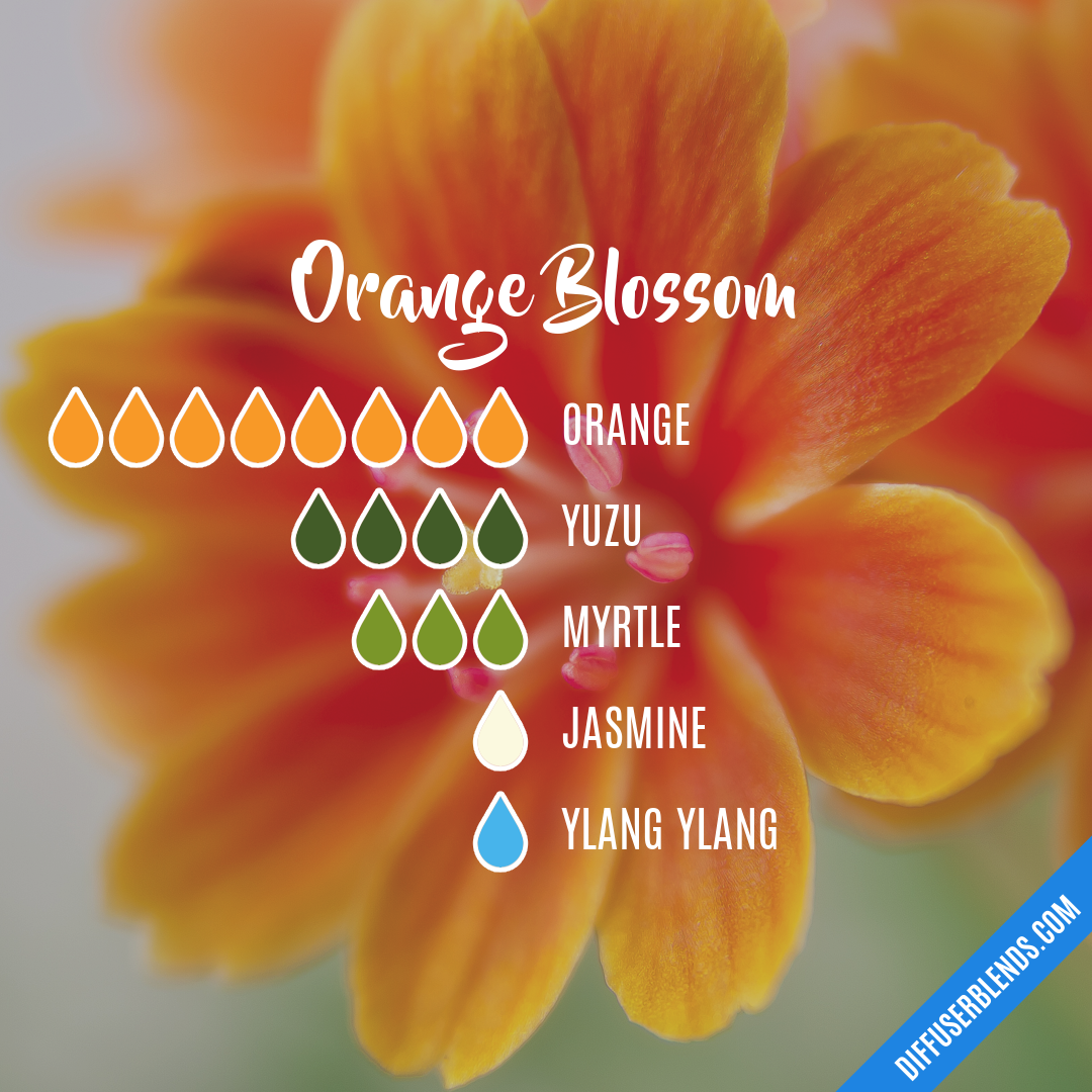 Orange Blossom | DiffuserBlends.com