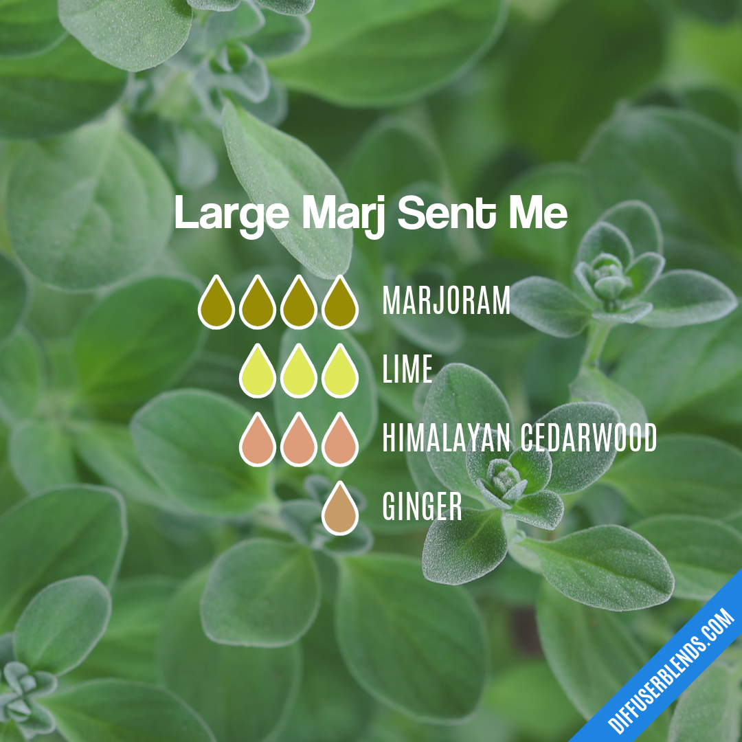 Large Marj Sent Me | DiffuserBlends.com