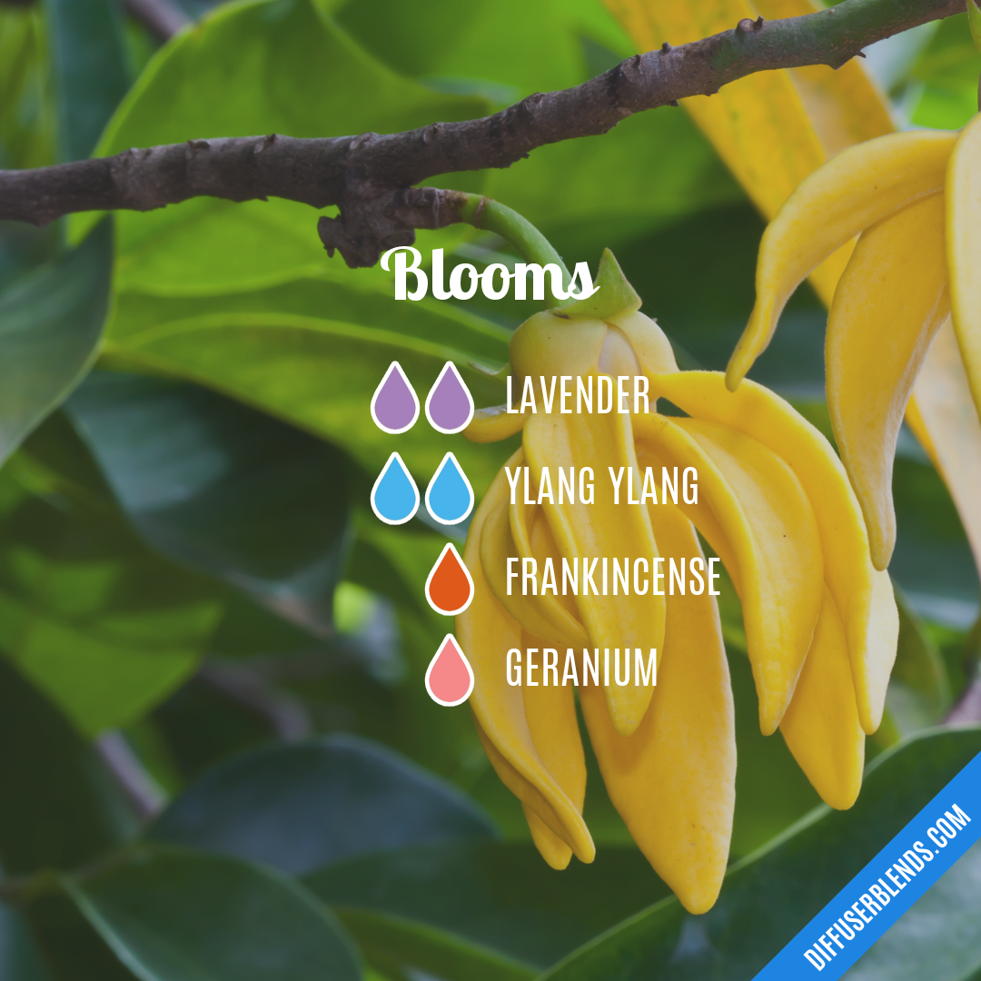 Blooms | DiffuserBlends.com