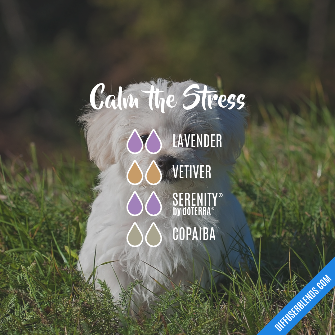 Calm the Stress | DiffuserBlends.com