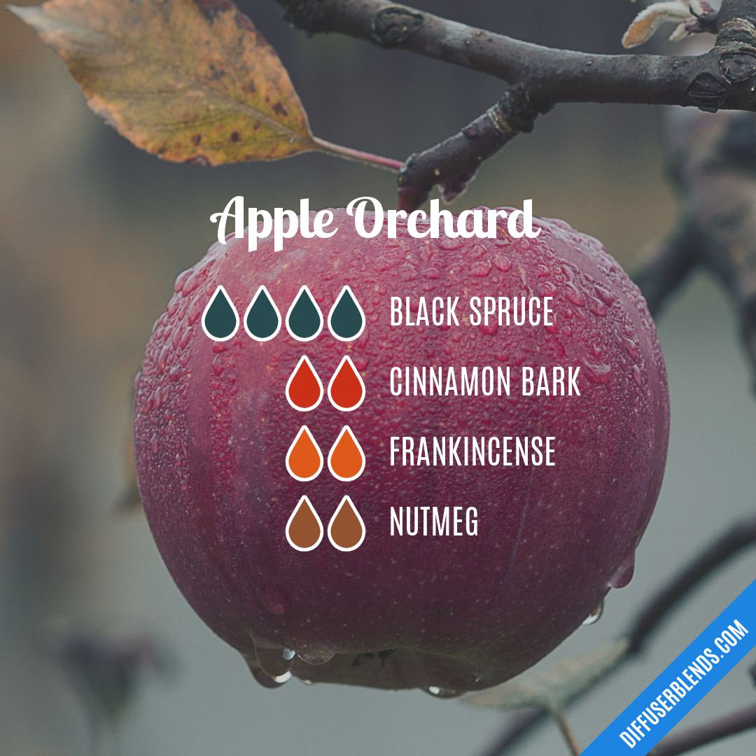 Apple Orchard | DiffuserBlends.com
