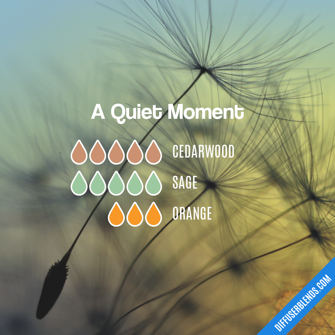 A Quiet Moment | DiffuserBlends.com