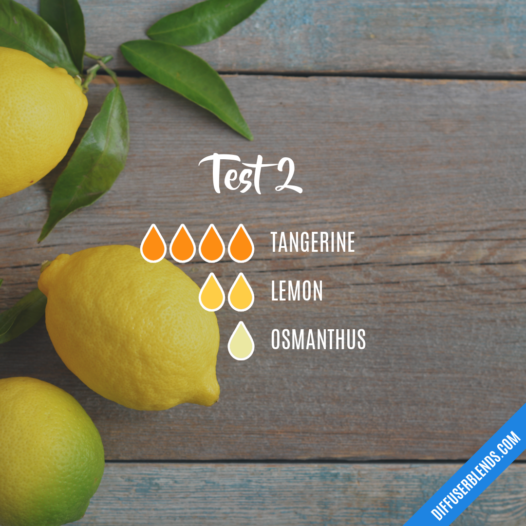 Test 2 | DiffuserBlends.com