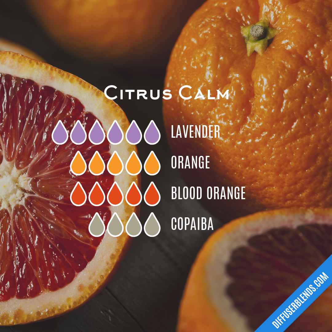 Citrus Calm | DiffuserBlends.com