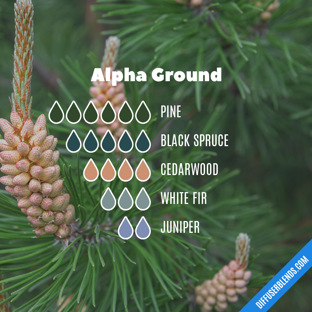 Alpha Ground | DiffuserBlends.com