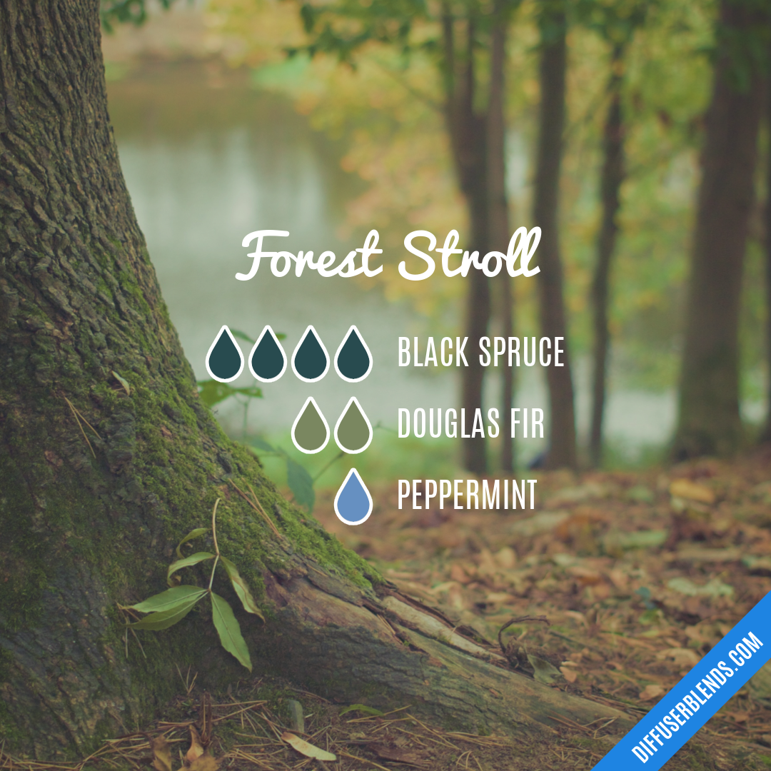 Forest Stroll | DiffuserBlends.com