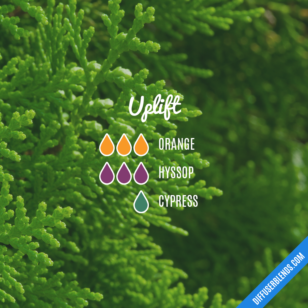 Uplift | DiffuserBlends.com