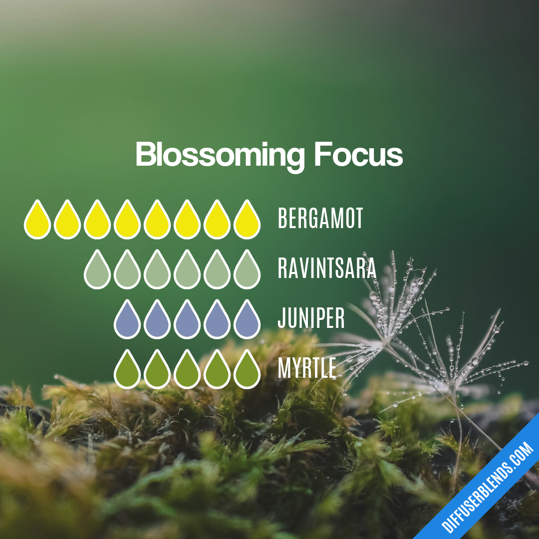 Blossoming Focus | DiffuserBlends.com