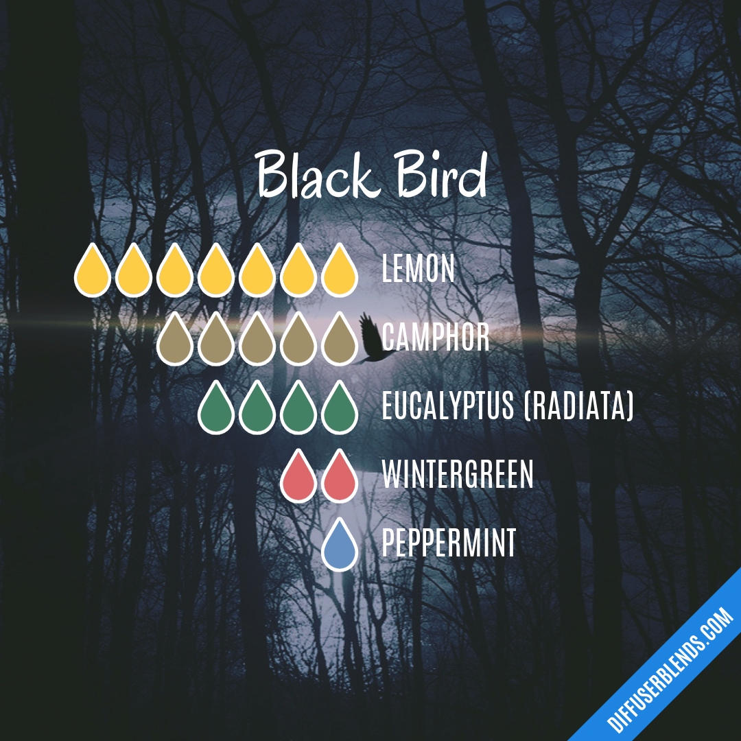 Black Bird | DiffuserBlends.com