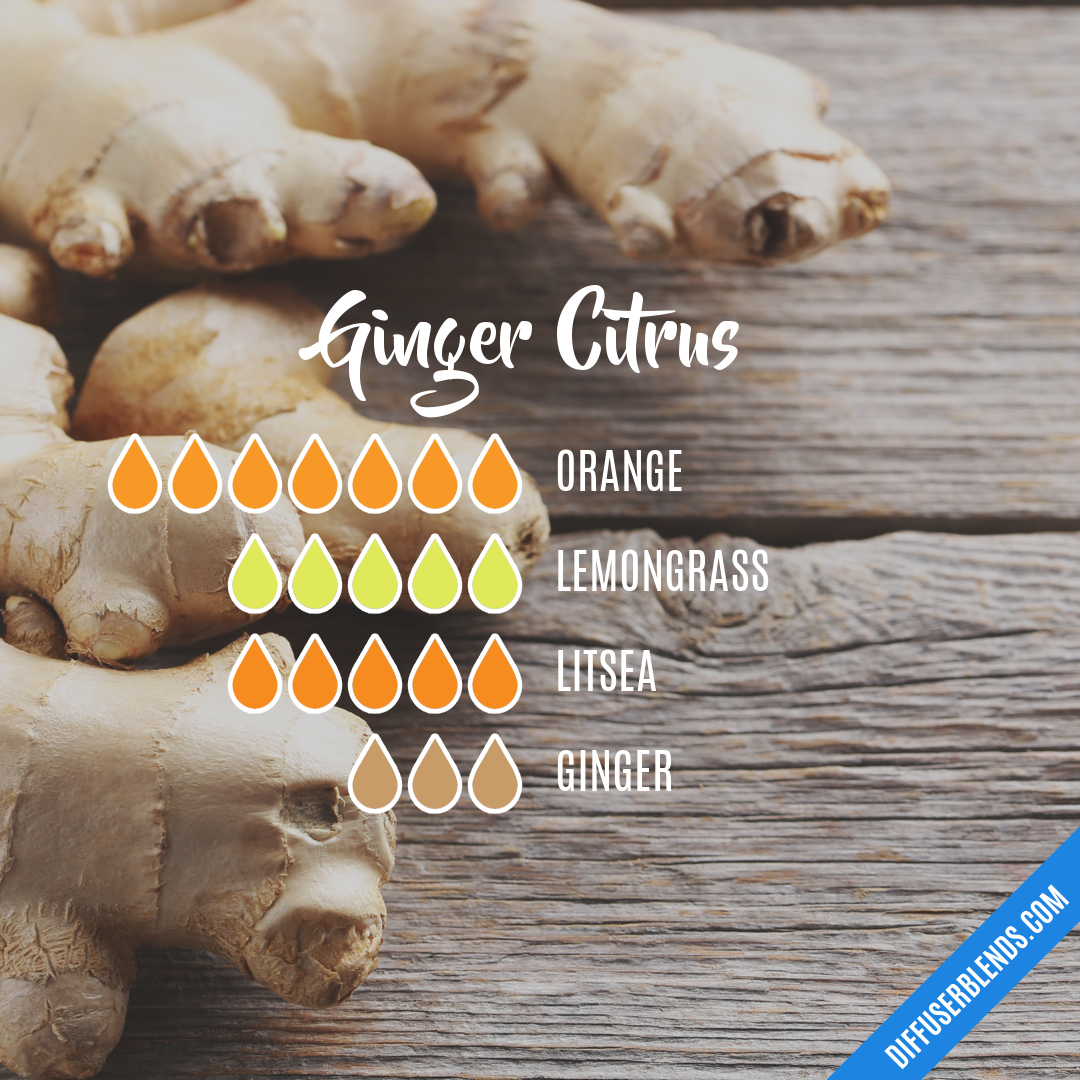 Ginger Citrus | DiffuserBlends.com