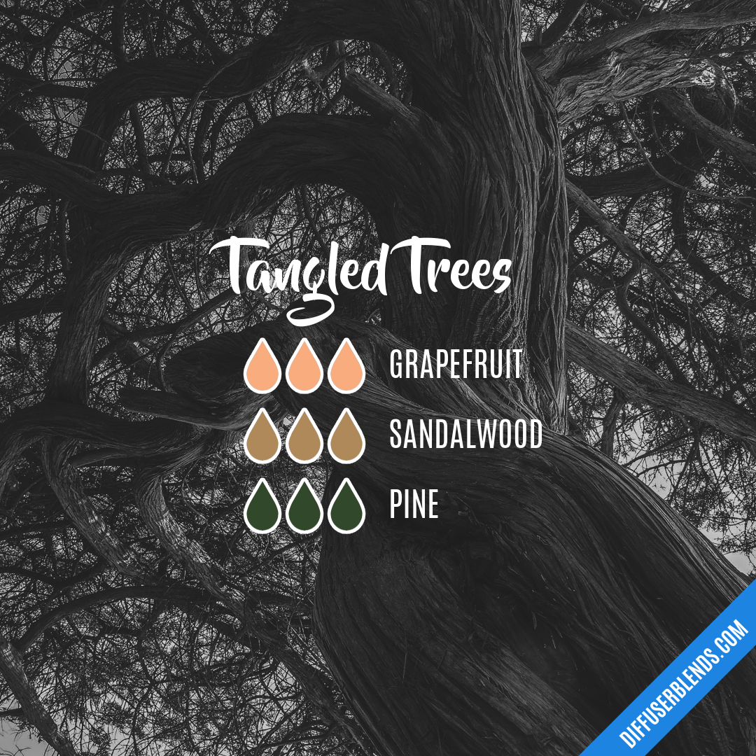 Tangled Trees | DiffuserBlends.com