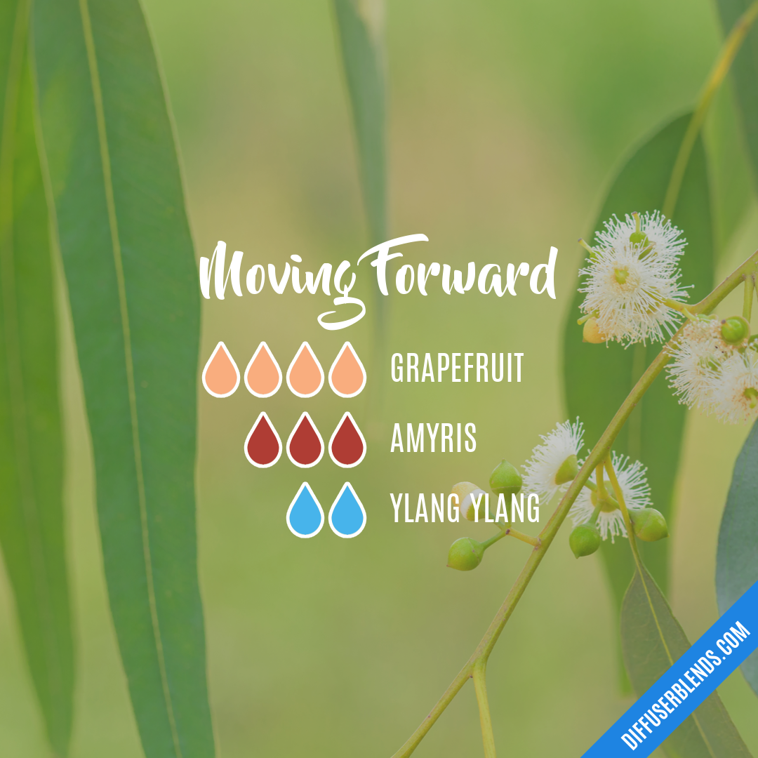 Moving Forward | DiffuserBlends.com