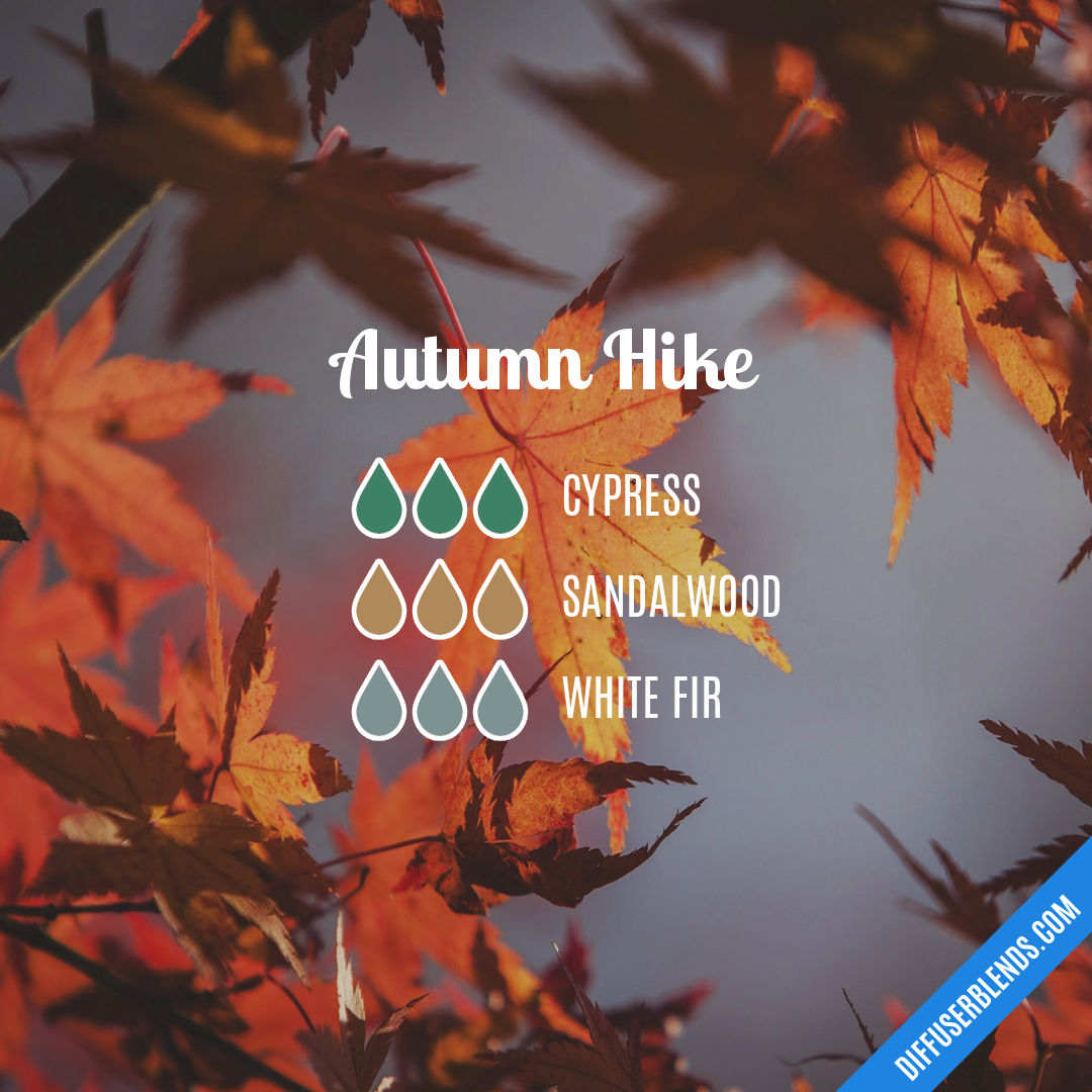 Autumn Hike | DiffuserBlends.com