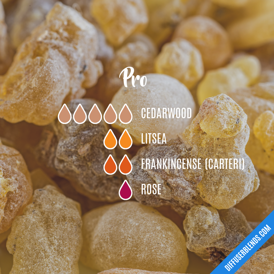 Pro | DiffuserBlends.com