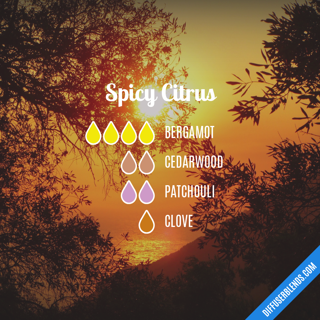 Spicy Citrus | DiffuserBlends.com